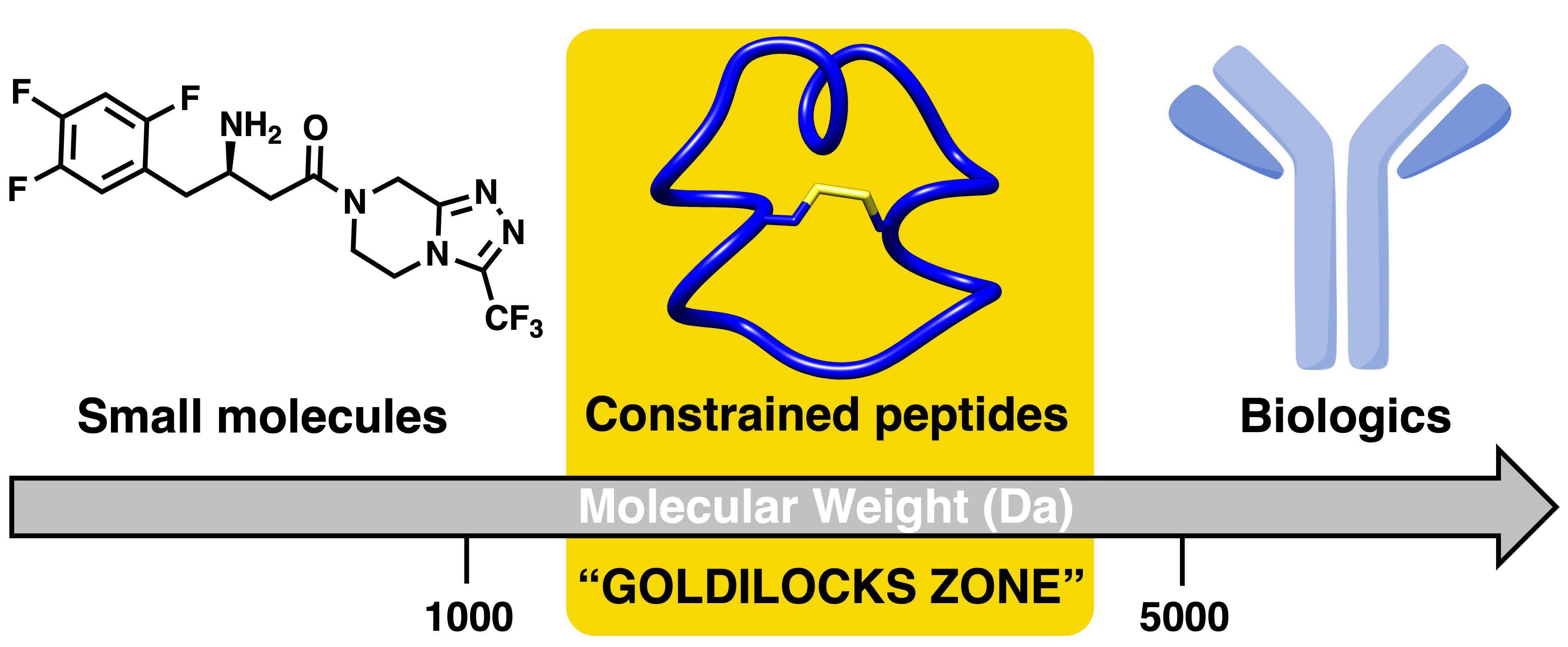 Research – NITSCHE LAB
